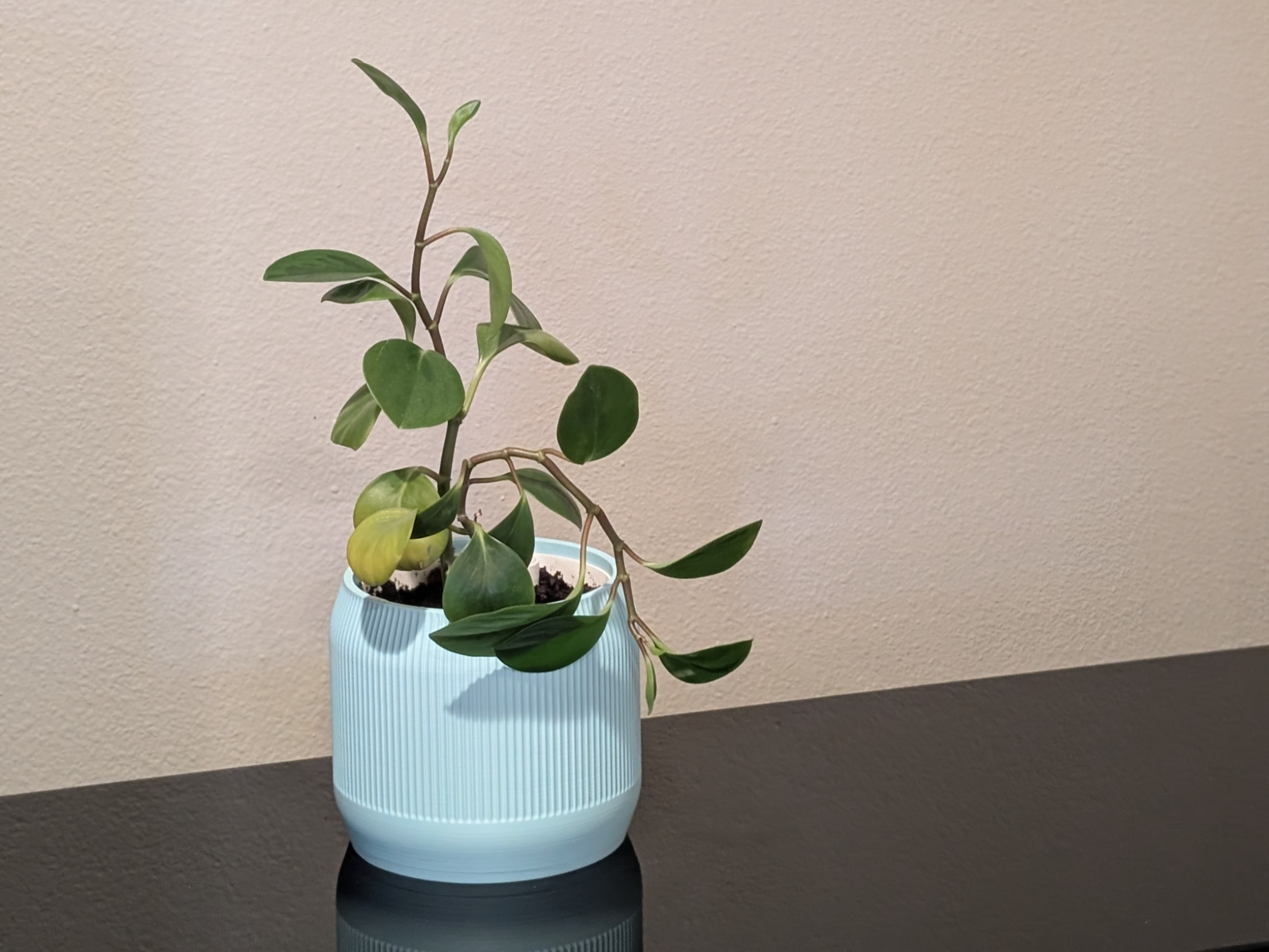 STRIA Modern Planter Bin Self-Watering - anselor | Nexprint: Free 3D ...