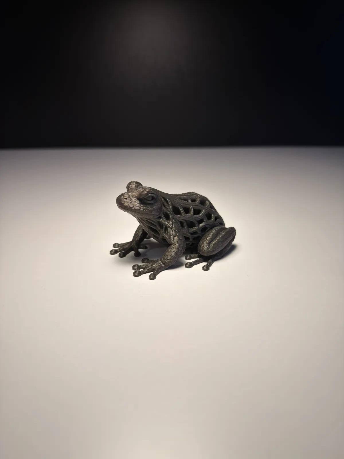 Frog - fifindr | Nexprint: Free 3D Model Downloads
