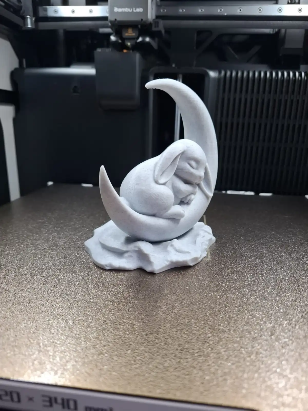 Sleeping Bunny on the Moon - Koffiekoek | Nexprint: Free 3D Model Downloads