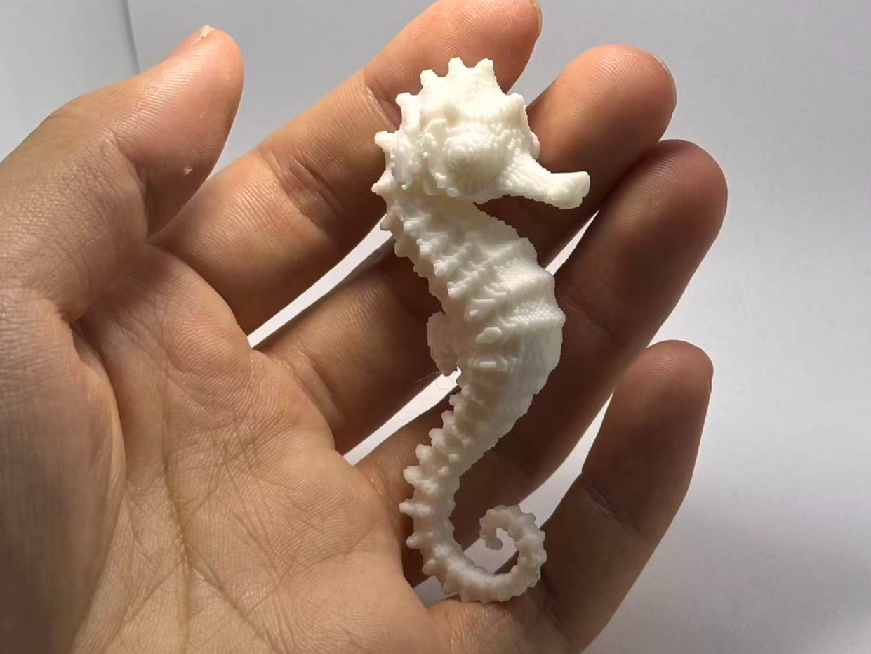 Hippocampus - 嗖嗖 | Nexprint: Free 3D Model Downloads