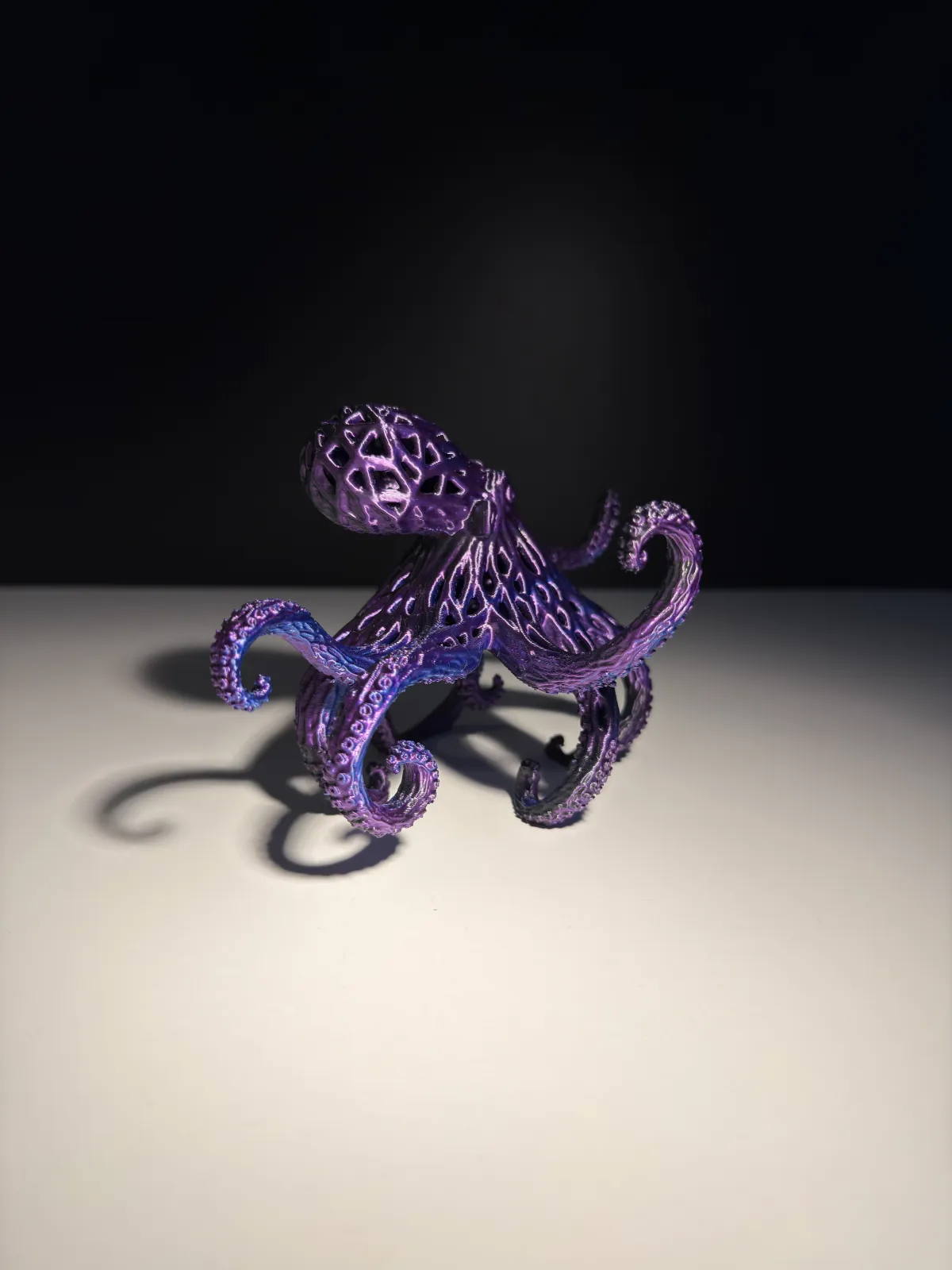 Octopus - fifindr | Nexprint: Free 3D Model Downloads