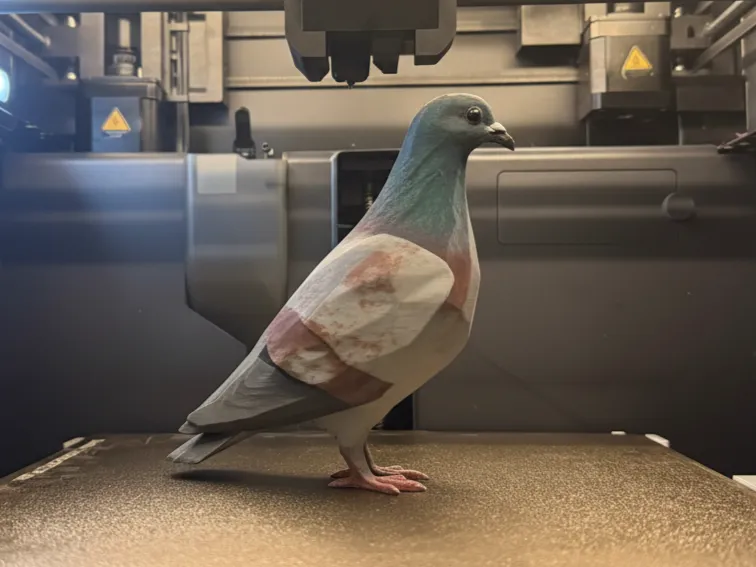 Low Poly Pigeon - Marjers | Nexprint: Free 3D Model Downloads